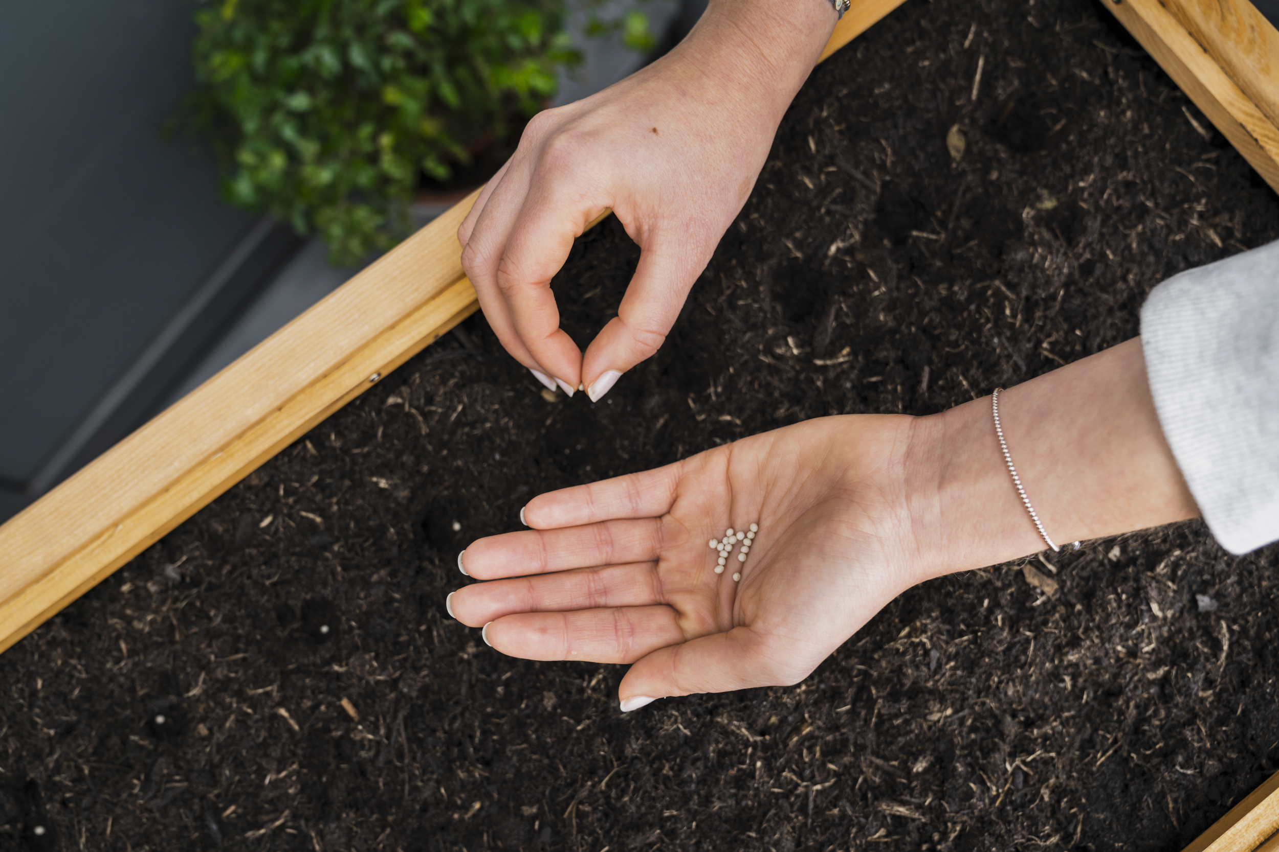 Beet anlegen – Tipps und Ideen für die Gestaltung | OBI