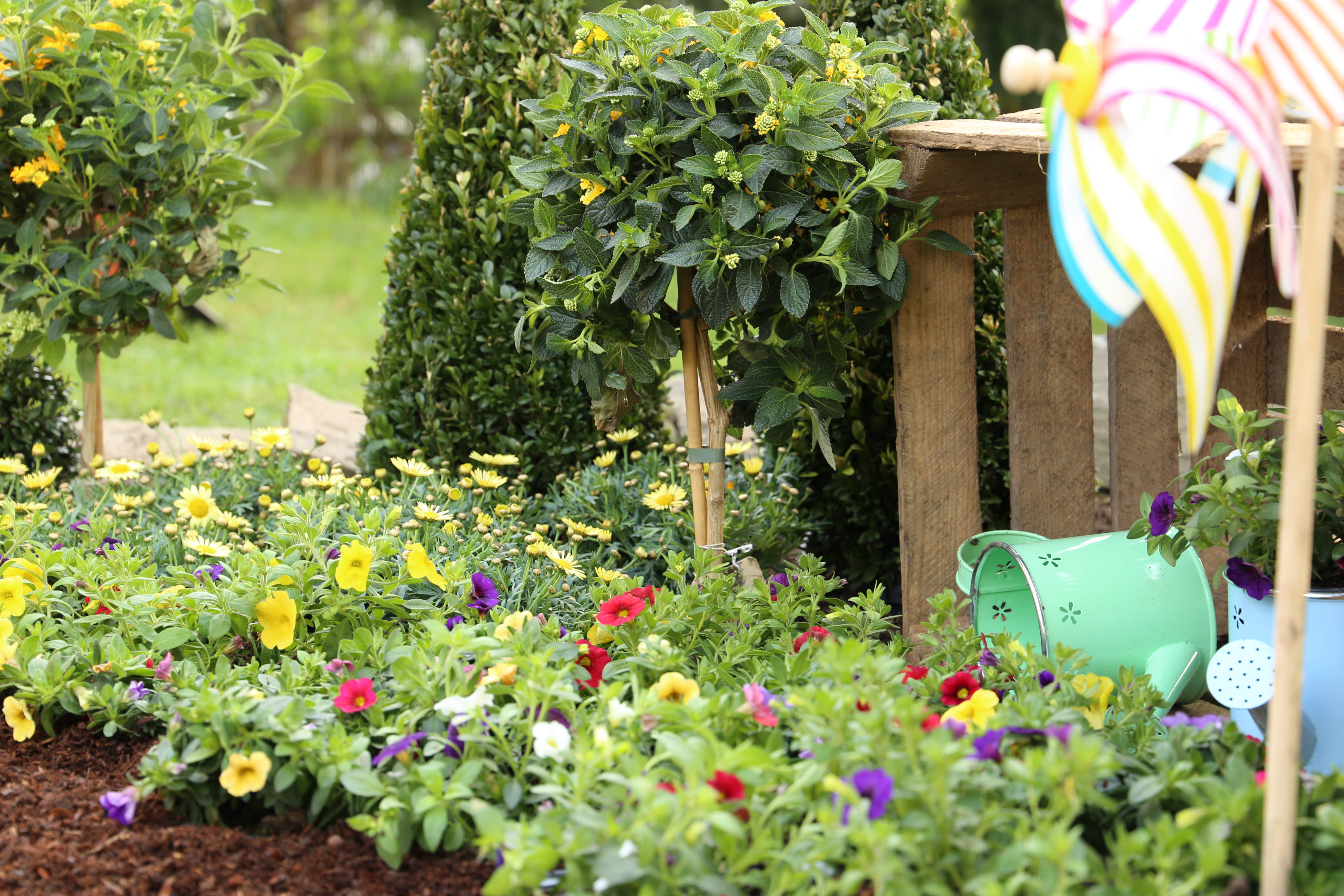 Beet anlegen – Tipps und Ideen für die Gestaltung | OBI