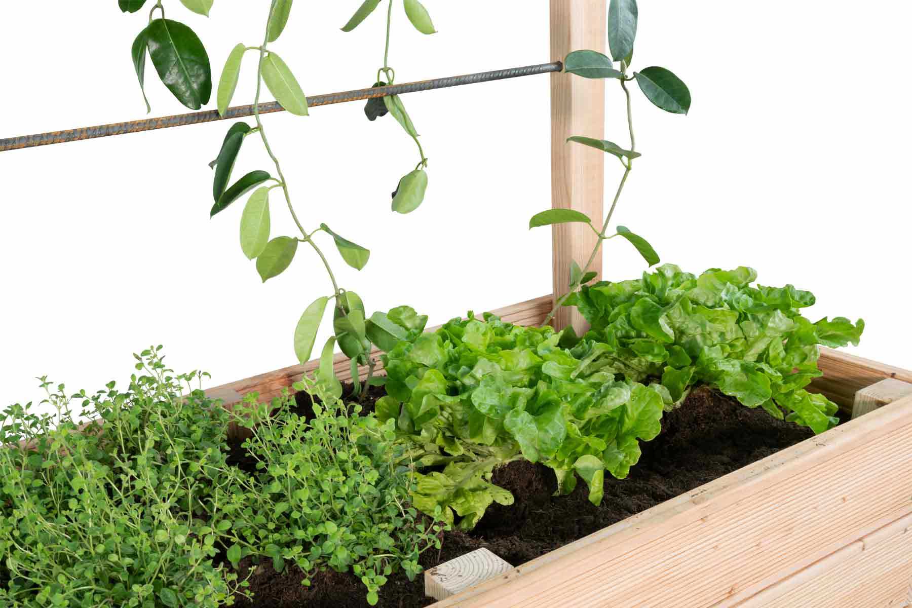 Hochbeet Alfred mit Rankhilfe – Anleitung zum Selberbauen | OBI