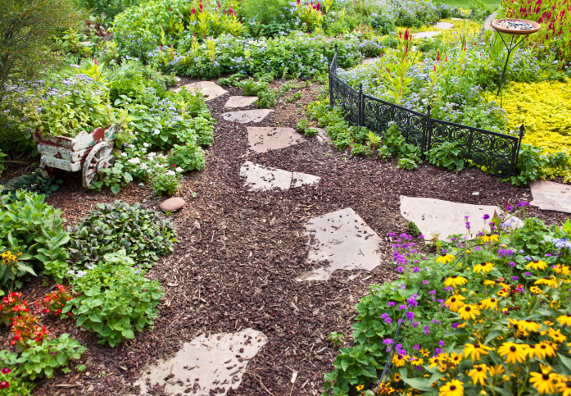 Richtig mulchen – Ratgeber & Tipps zum Vorgehen | OBI