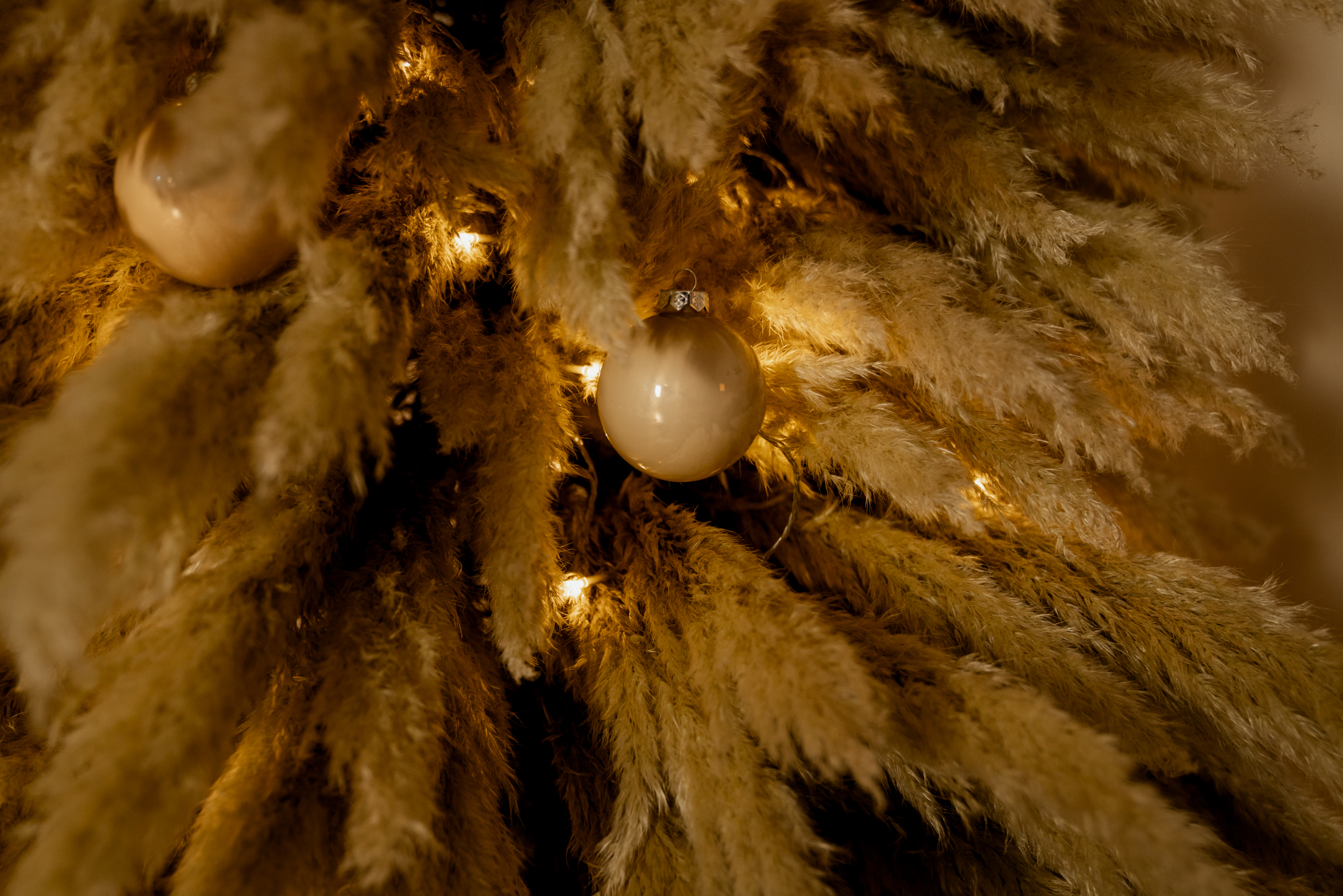 Takto si postavíte vánoční stromek z pampové trávy | OBI