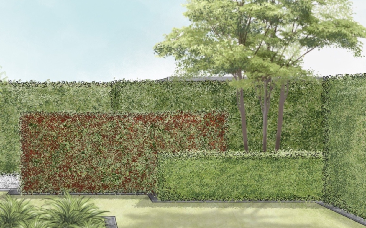 Gartenplanung vom Experten: Gestalte deinen modernen Garten günstig ...