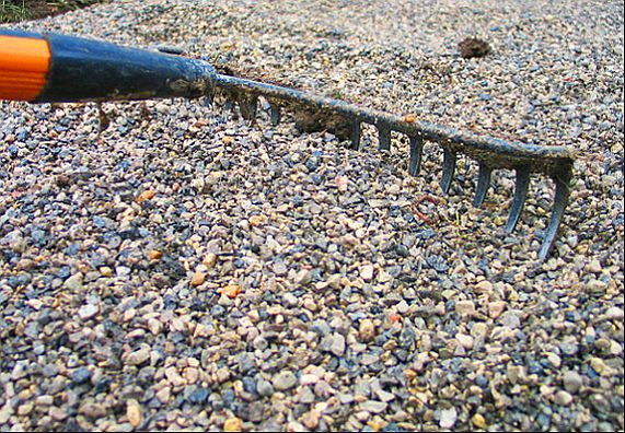 Založení asijské zahrady: nápady a inspirace | OBI