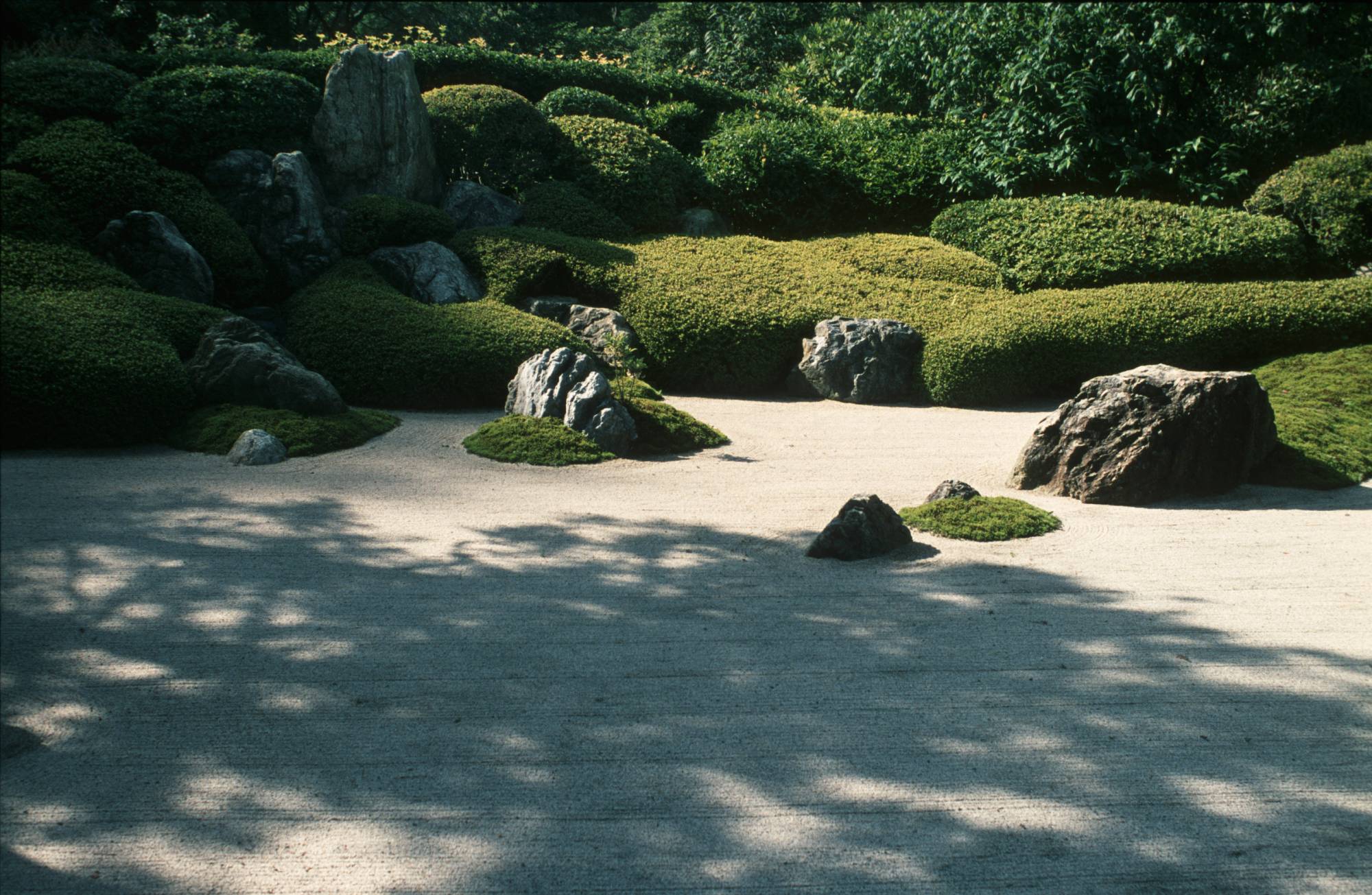 Založení asijské zahrady: nápady a inspirace | OBI