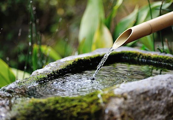 Japán kert ötletek és tippek | OBI