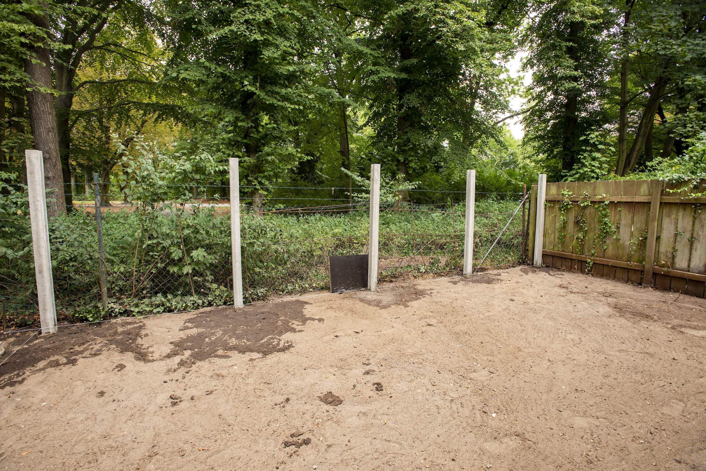 Ein Schweinegehege für Emma und Karli | OBI