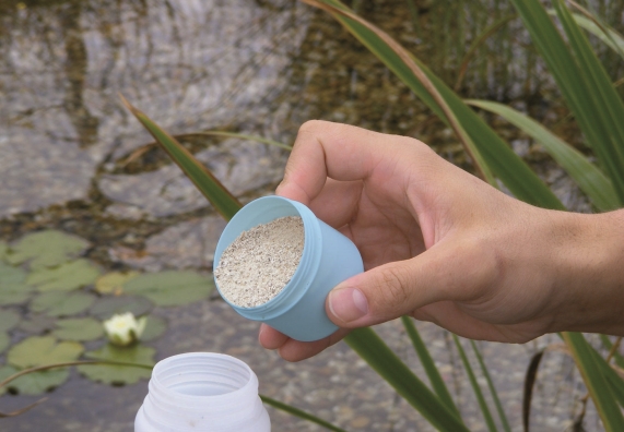 Odstránenie rias z jazierka – návod a tipy | OBI