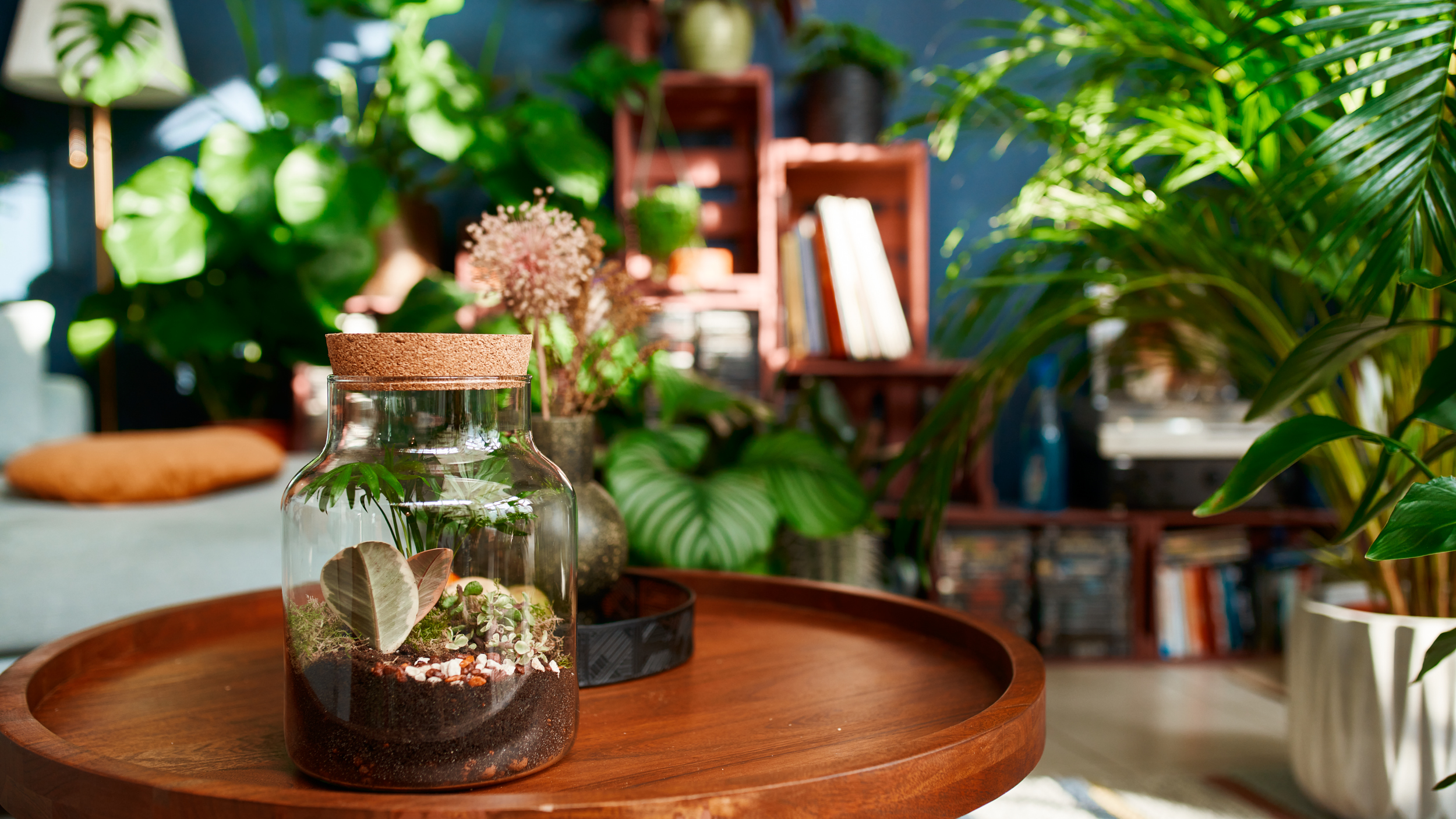 Rastliny v skle – tipy, triky a návod | OBI