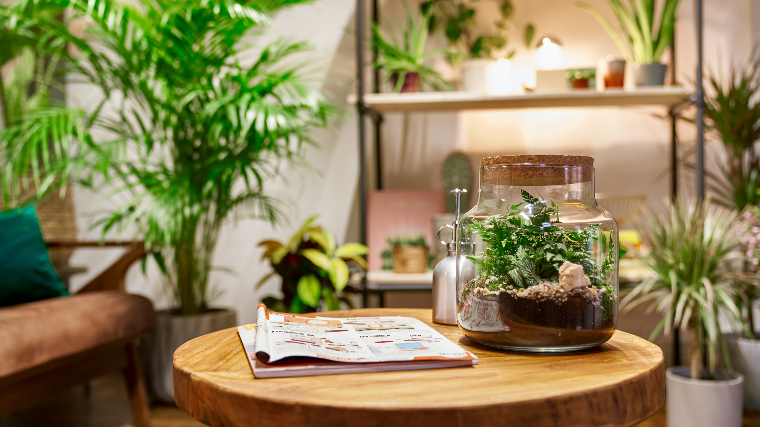 Rastliny v skle – tipy, triky a návod | OBI