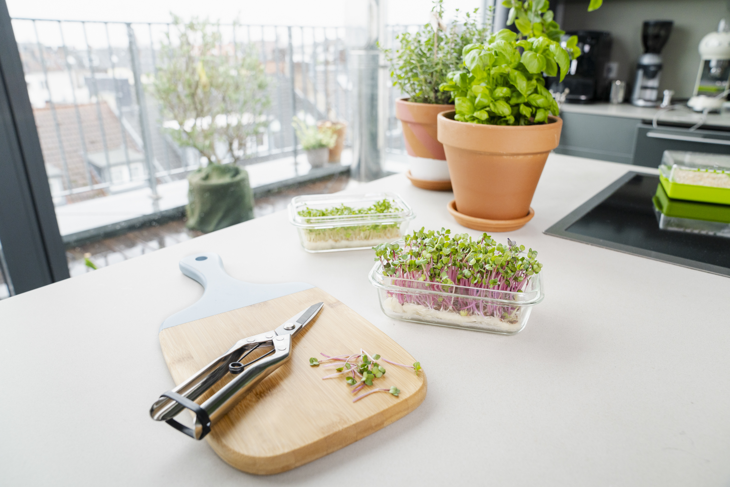 Orto domestico: cosa coltivare, quando e come farlo | OBI