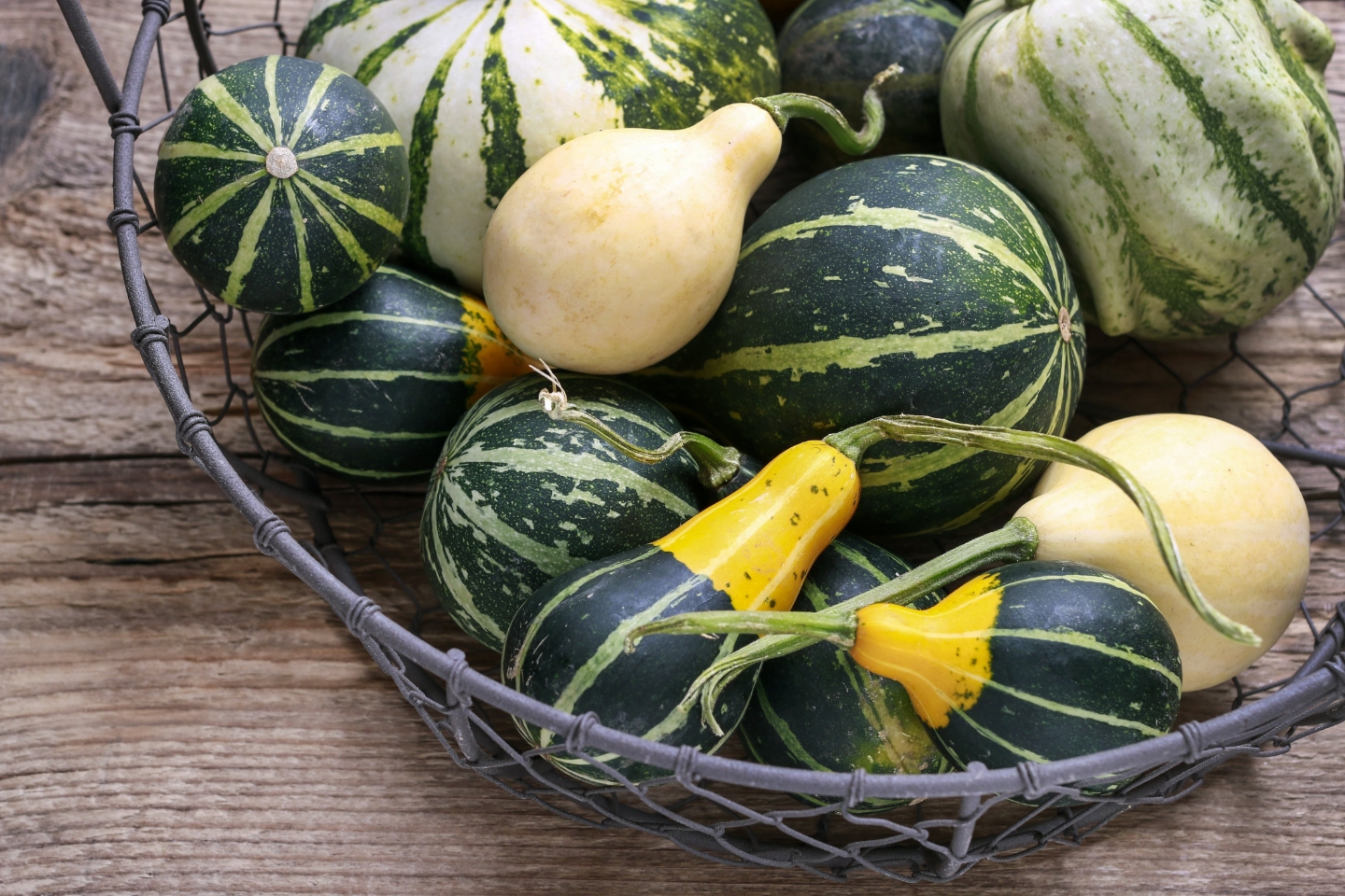 Couronne de l’avent – idées pour ta couronne pour Noël | OBI