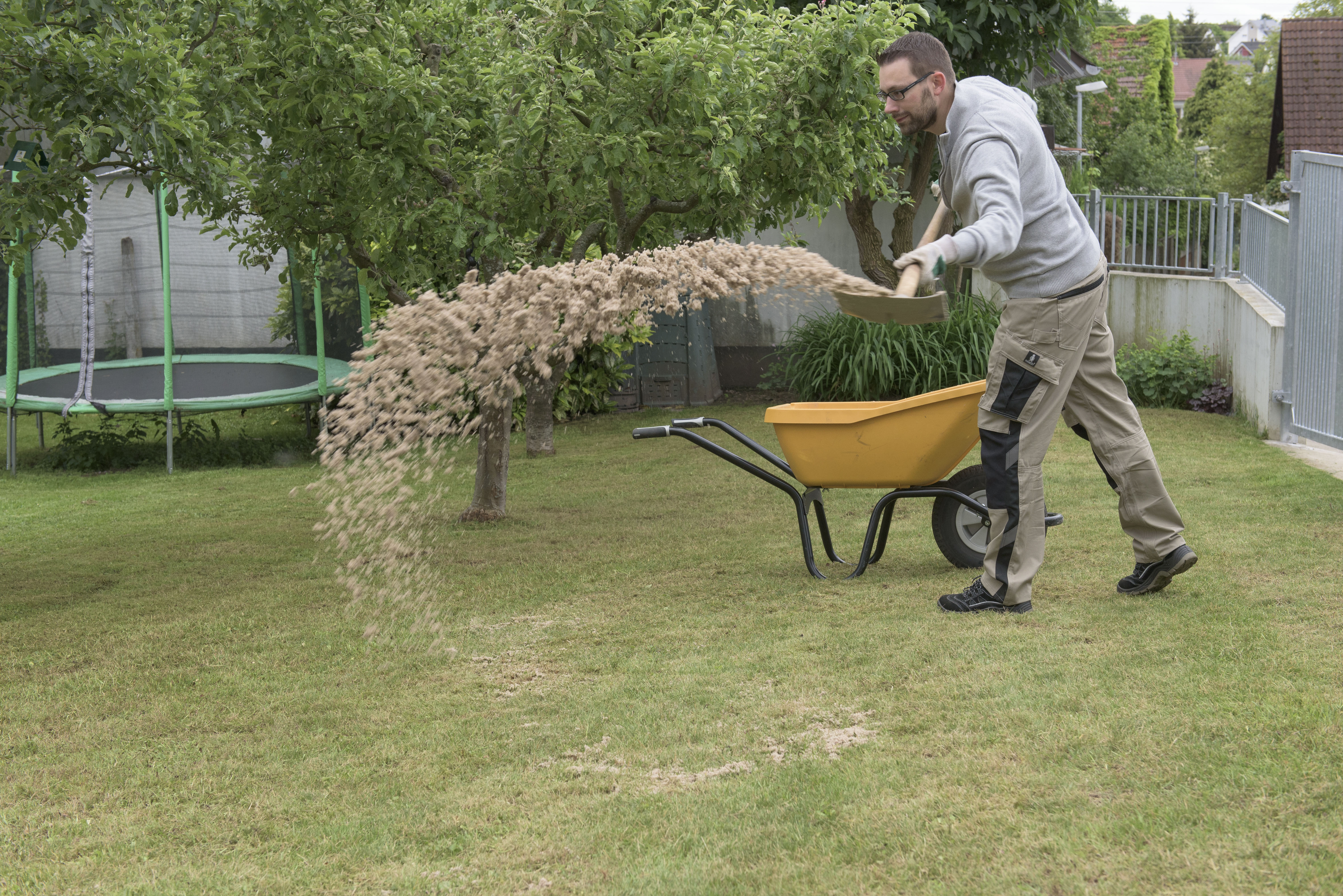 Moos im Rasen: Ursachen, Beseitigung & Vorbeugung | OBI