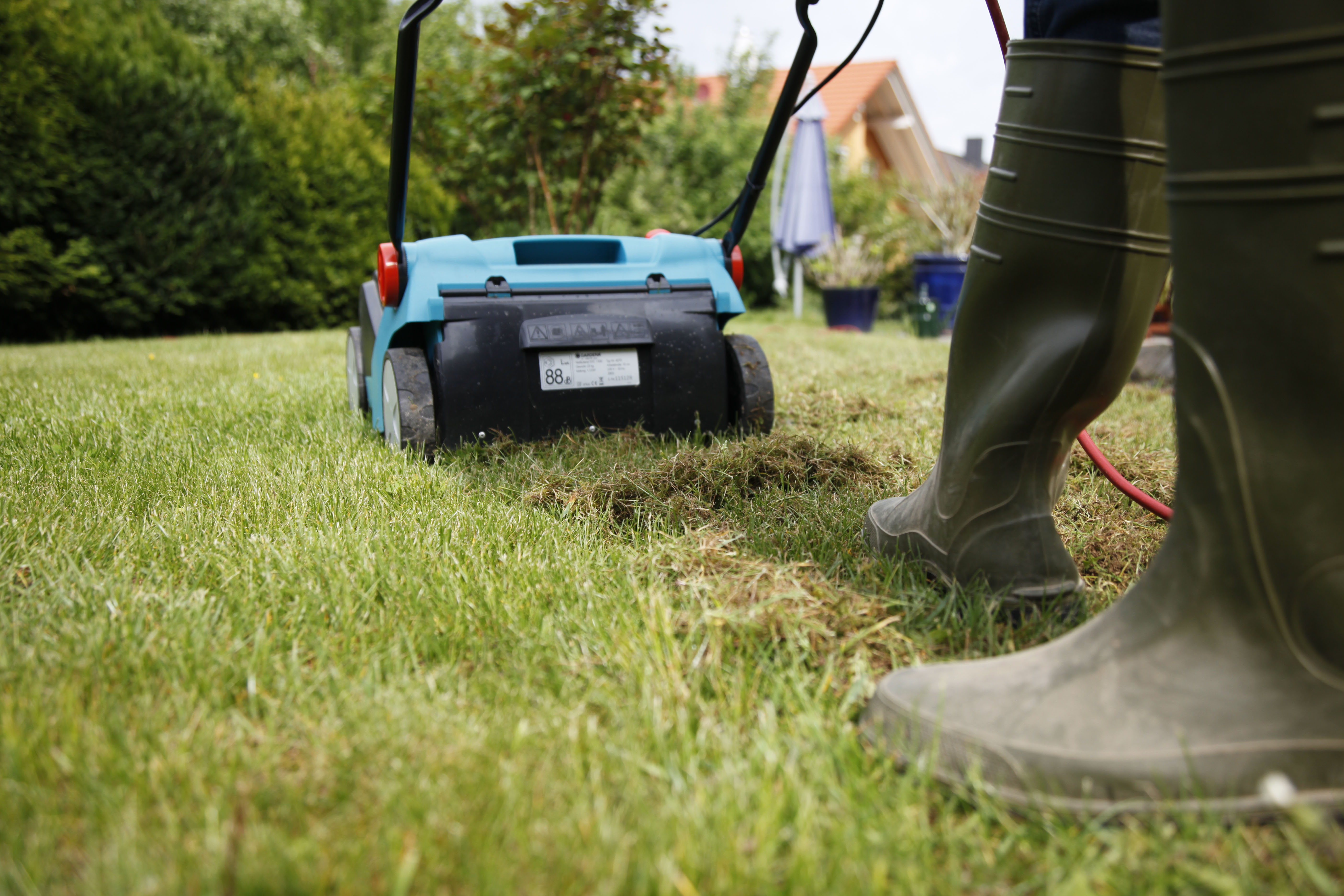 Moos im Rasen bekämpfen: Ursachen & Vorbeugung | OBI