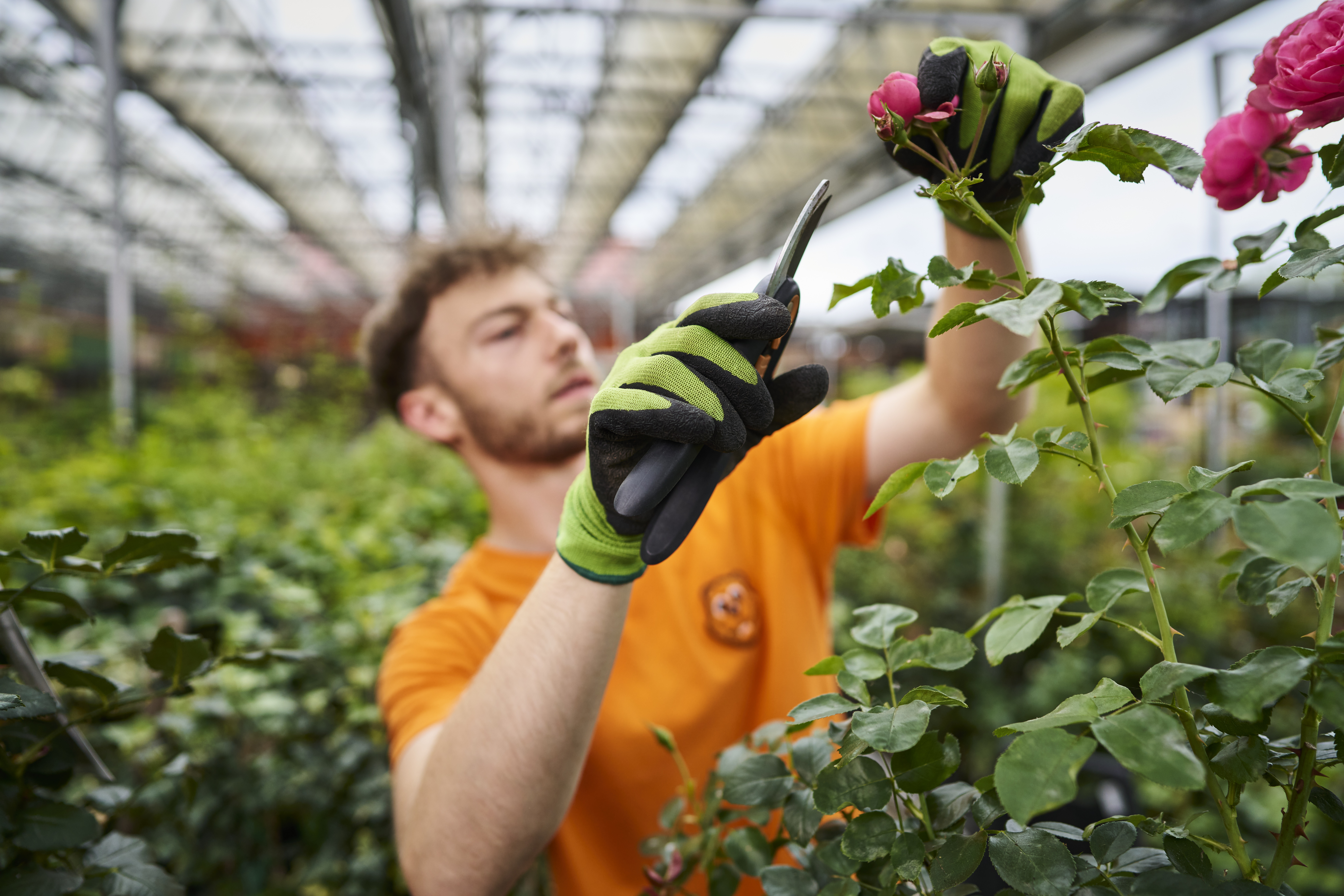 Sustainability | OBI