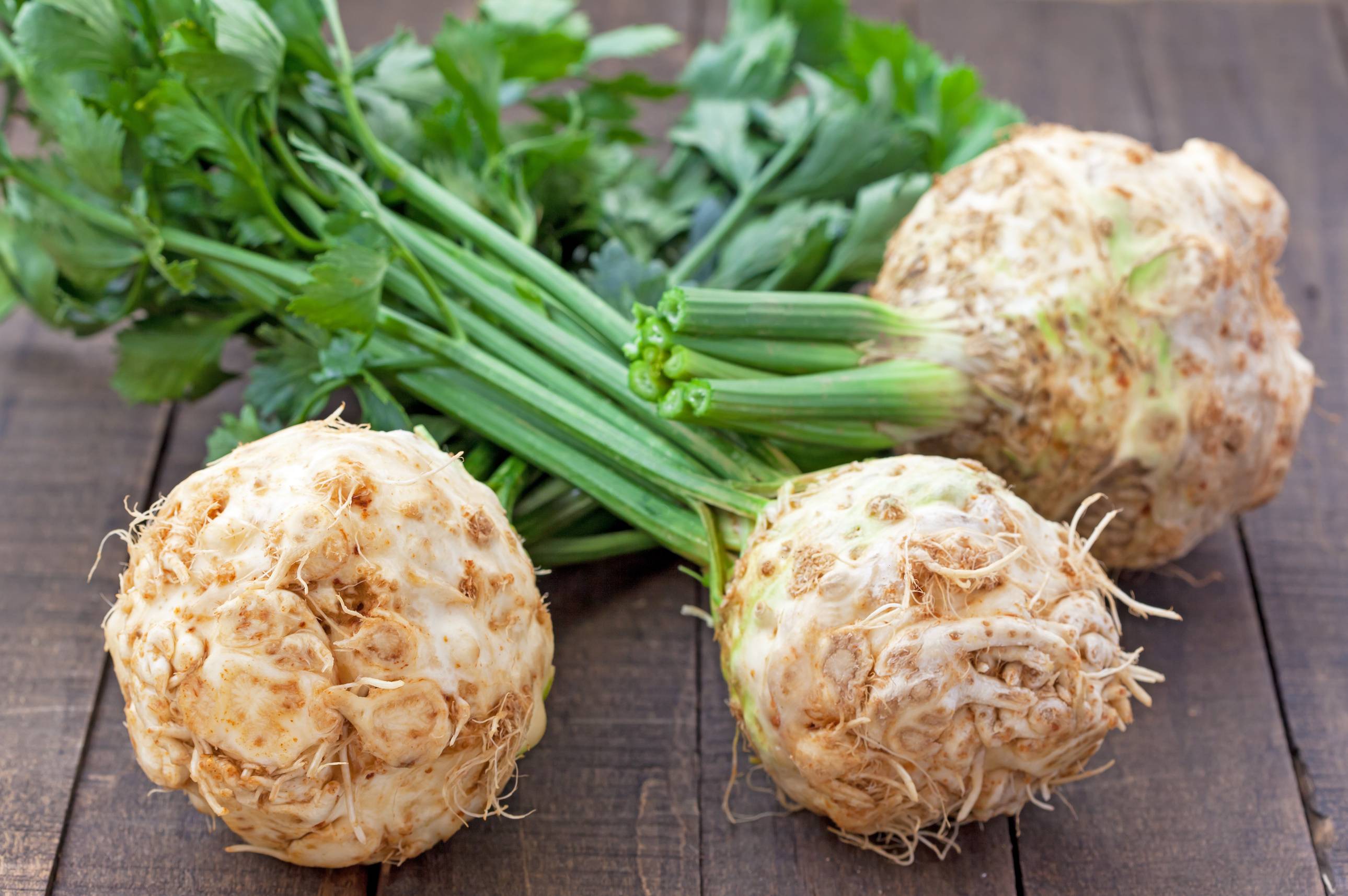 Seler korzeniowy – właściwości, uprawa i zastosowanie | OBI