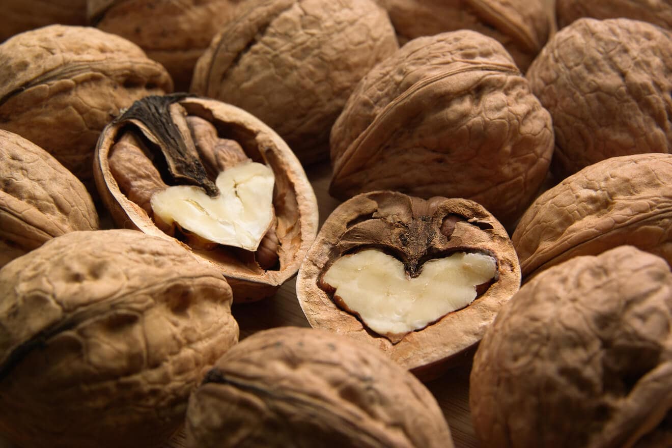 Orzech włoski – sadzenie, odmiany, zastosowanie| Leksykon roślin OBI