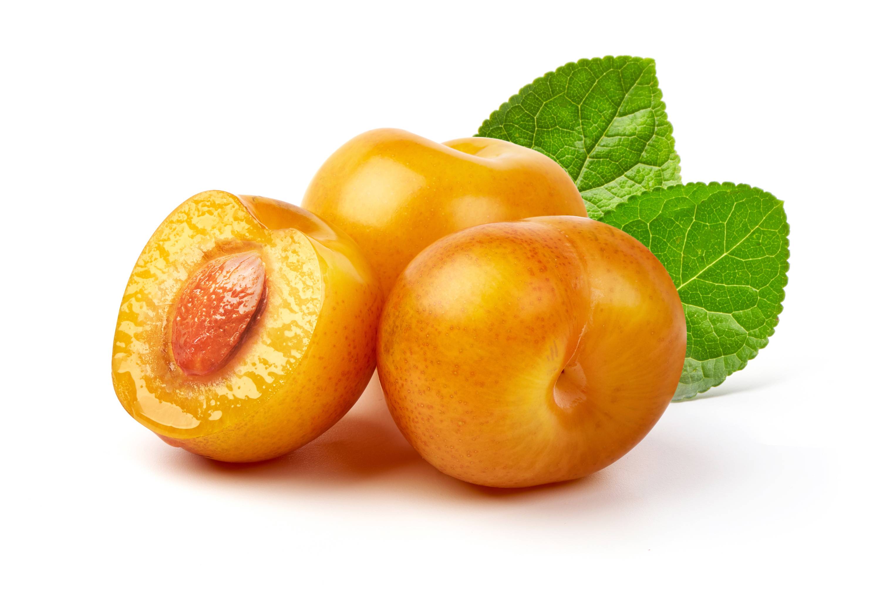 Śliwa mirabelka (Prunus domestica subsp. syriaca var. cerea) – jakie ma ...