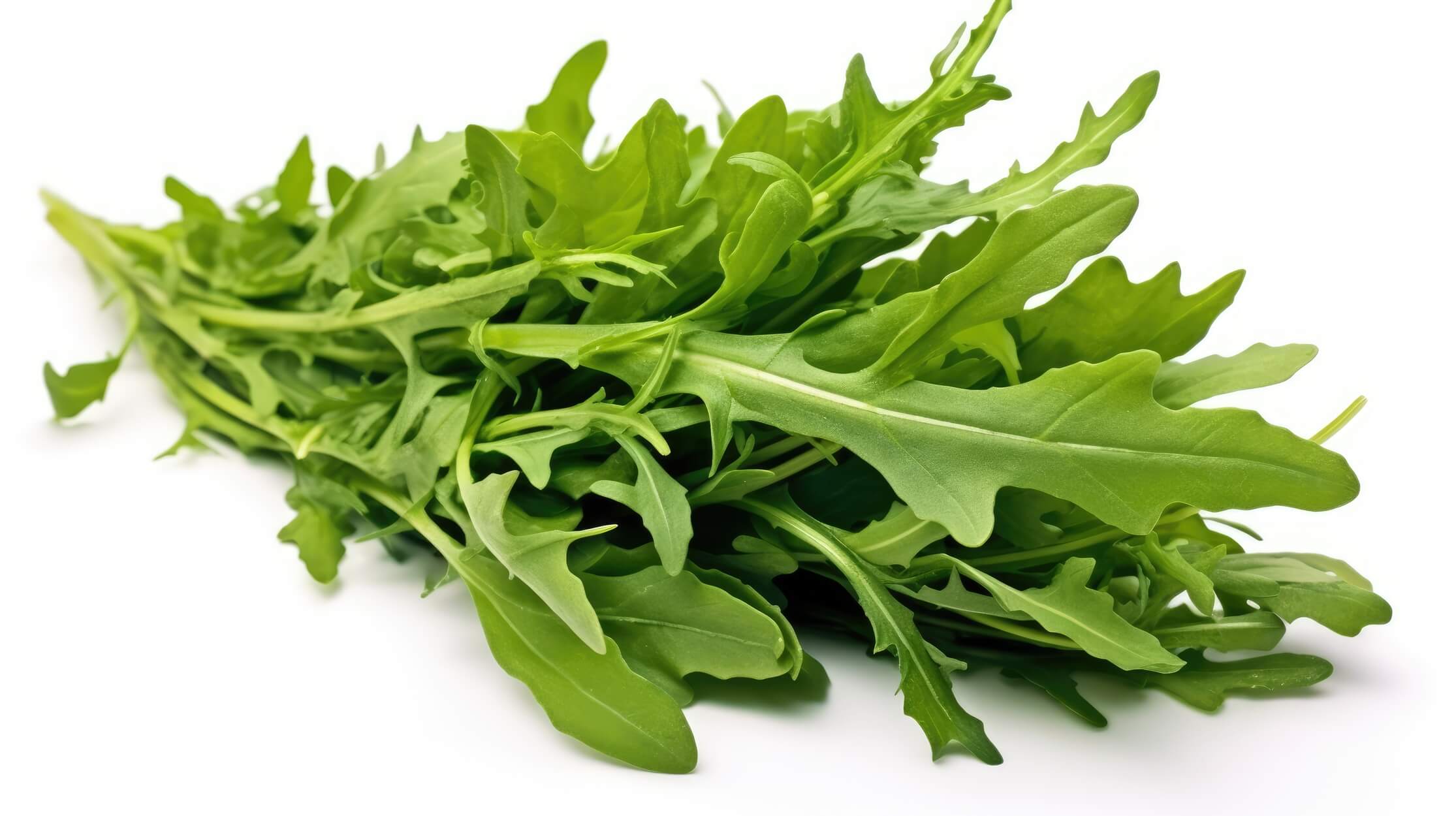 Rukola – uprawa, właściwości i zastosowanie | Poradnik OBI