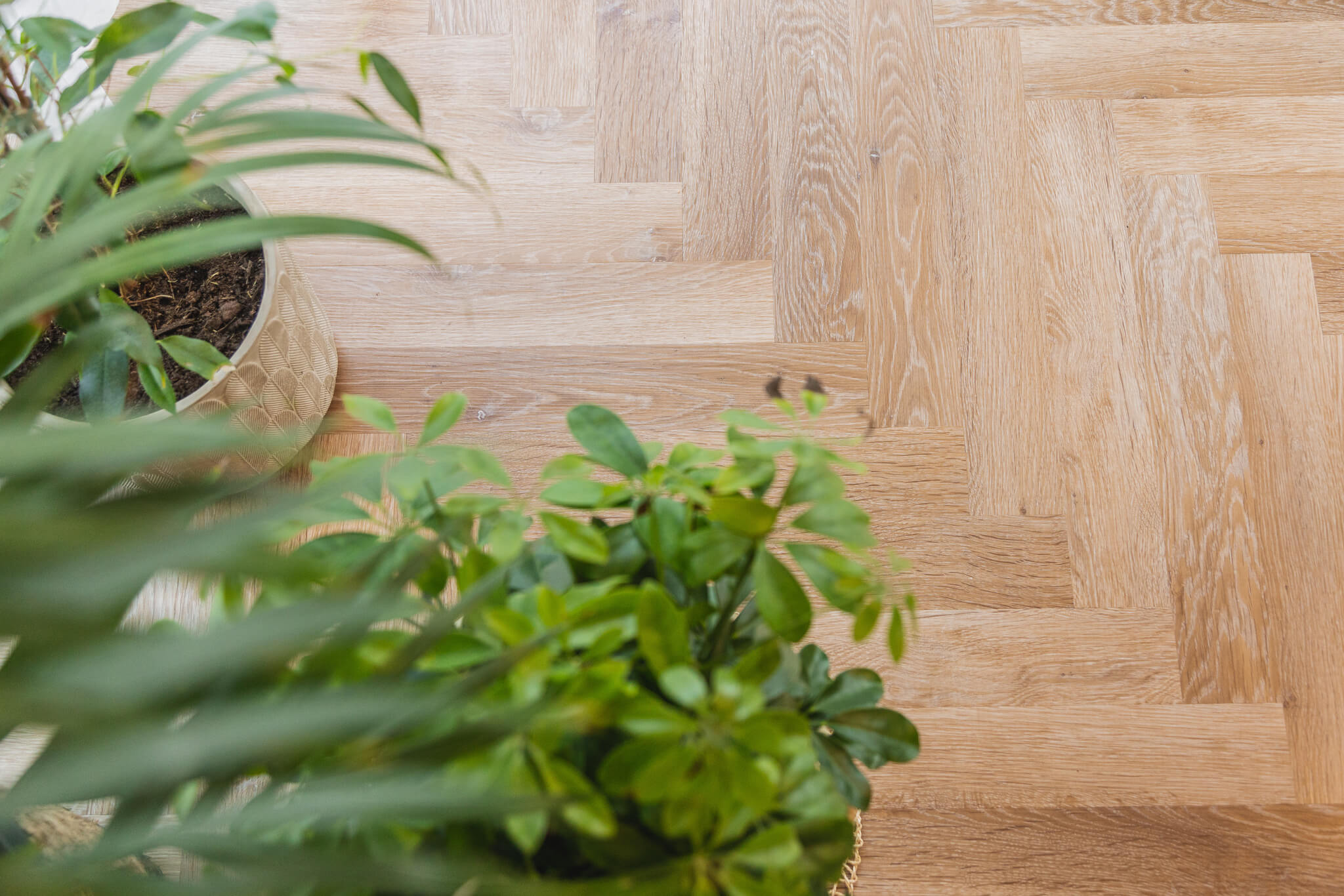 Czym kierować się w wyborze paneli podłogowych? | OBI