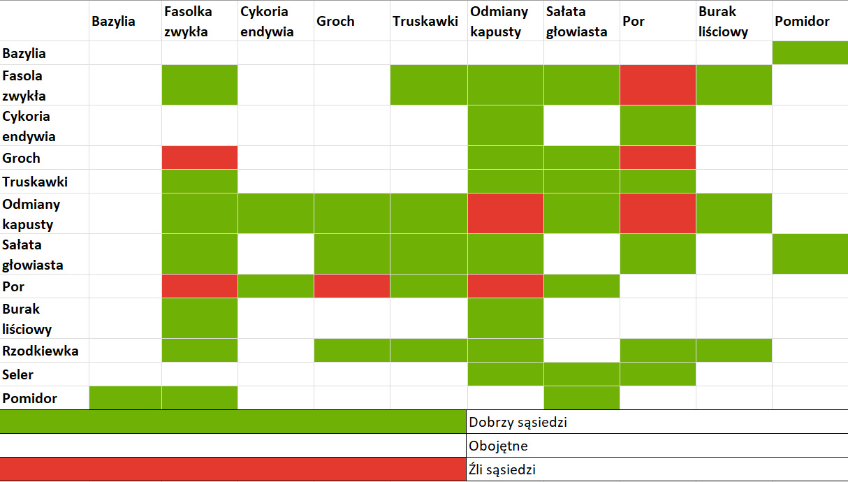 Uprawa współrzędna – na czym polega i jak ją zaplanować? | OBI