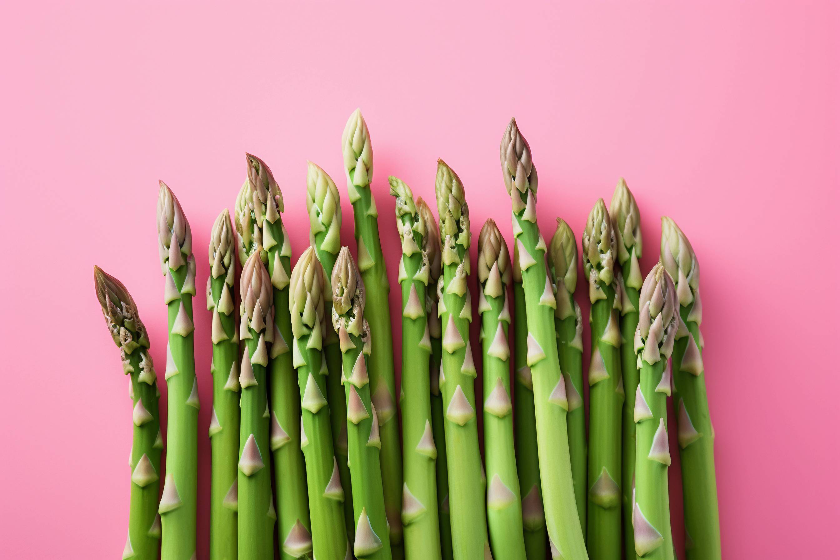 Asparagus – odmiany, stanowisko, uprawa | Poradnik OBI