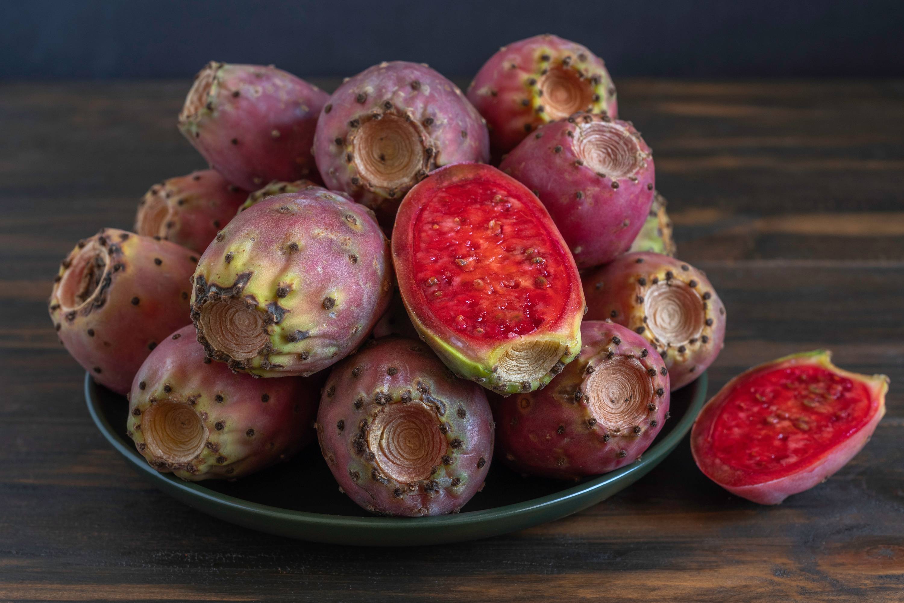 Opuncja – uprawa, podlewanie i choroby | Leksykon OBI