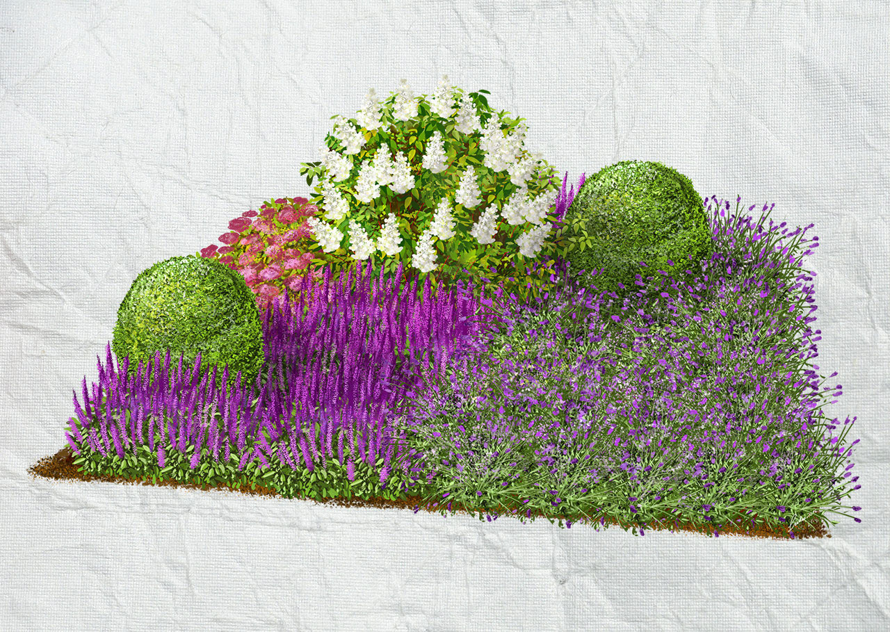 Ötletek előkert beültetéséhez - Virágos előkertek | OBI