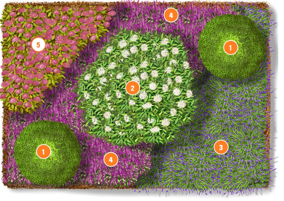 Ötletek előkert beültetéséhez - Virágos előkertek | OBI