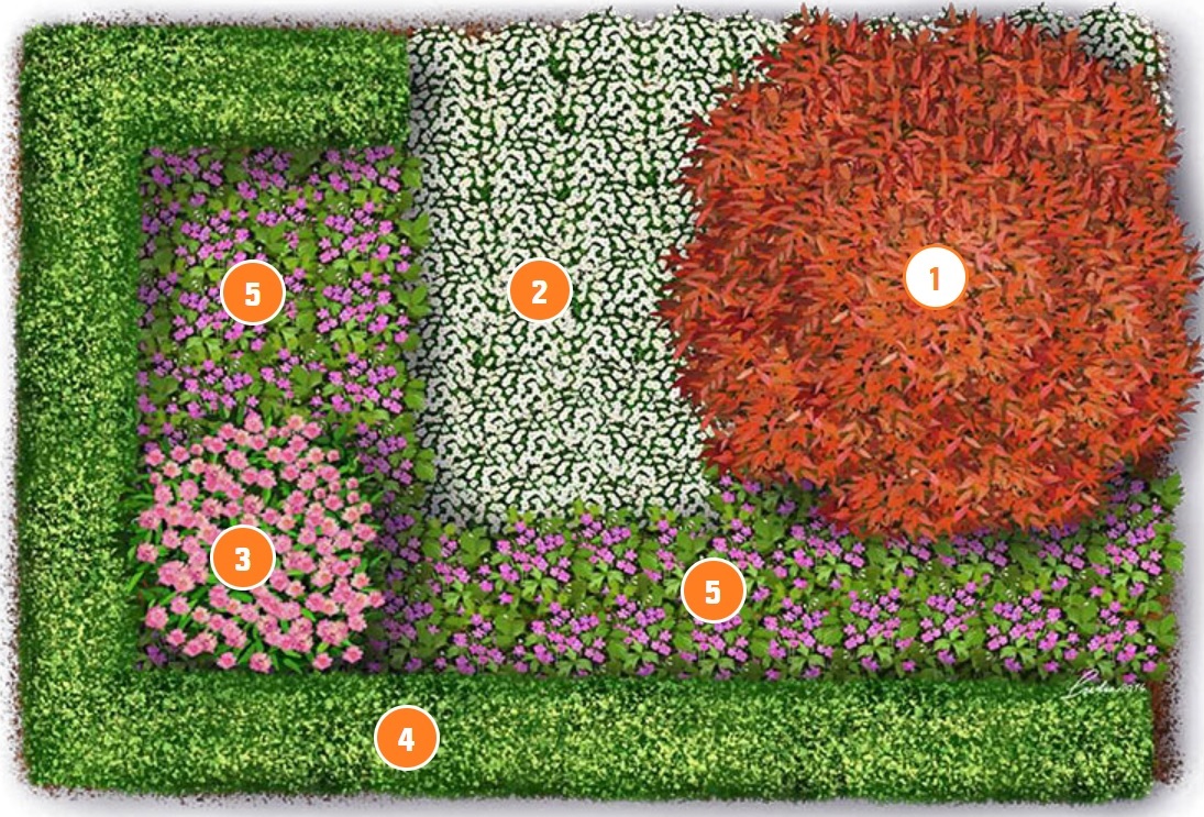 Előkert ötletek - Előkert japán juharral | OBI