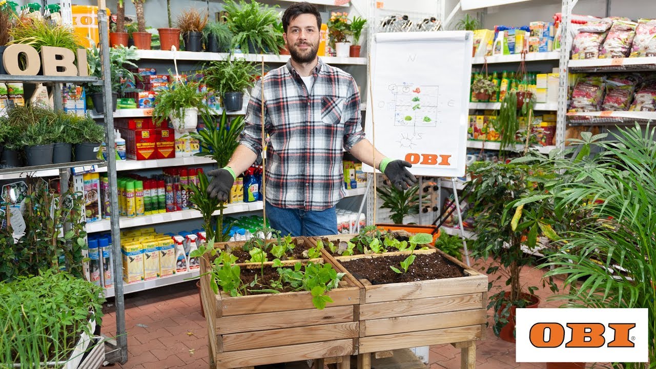 Come realizzare un orto sul balcone - Videoguida | OBI