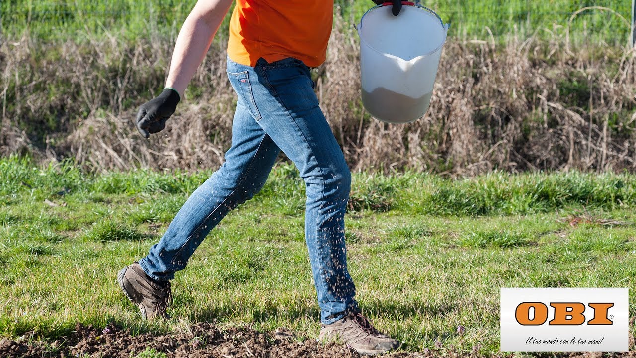 Come piantare erbe aromatiche in aiuola, vaso o fioriera: guida ...