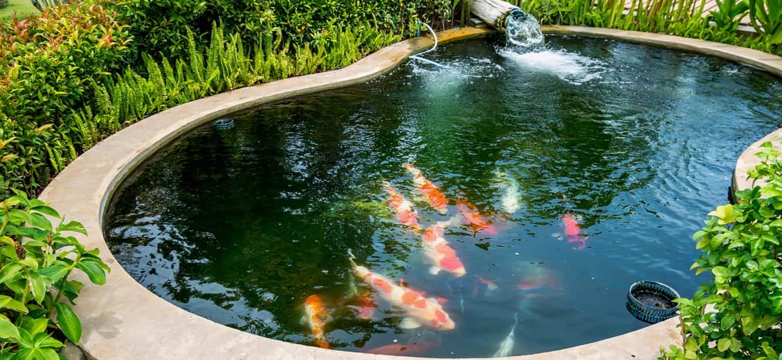 Gartenteich anlegen | OBI Gartenplaner