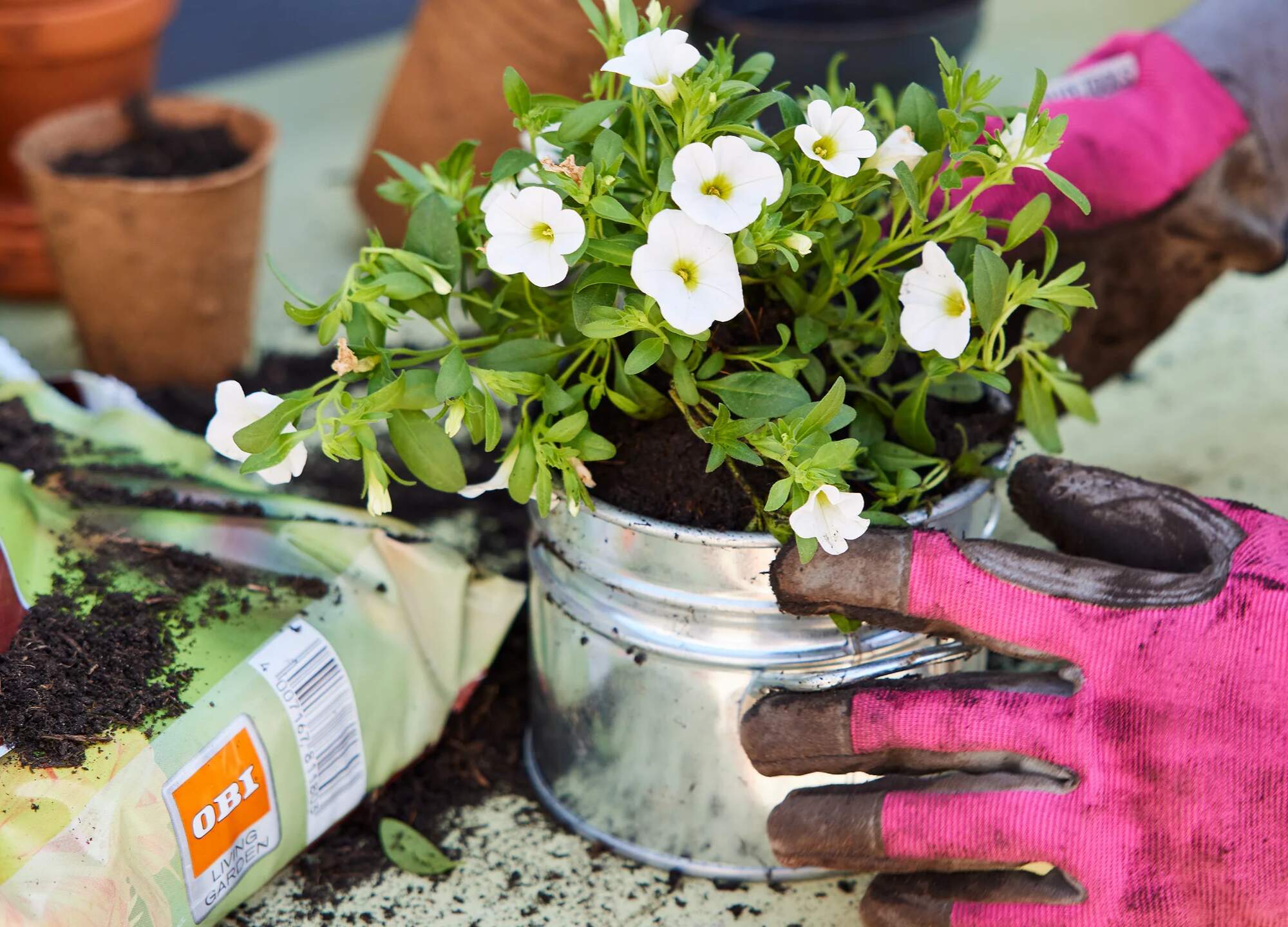 Gartenprojekte | OBI