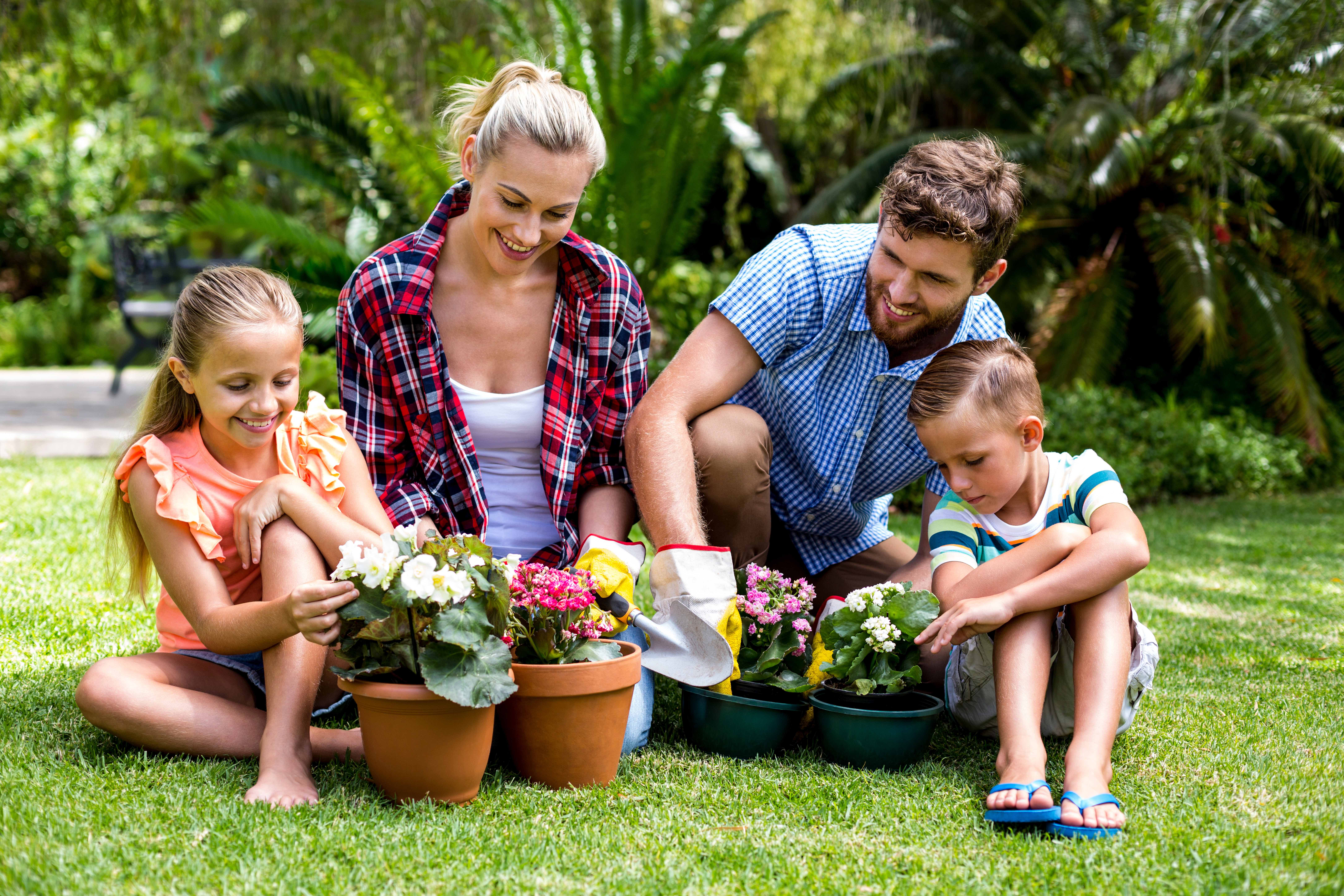 OBI Baumarkt & Online-Shop - alles für Heim, Haus, Garten und Bau