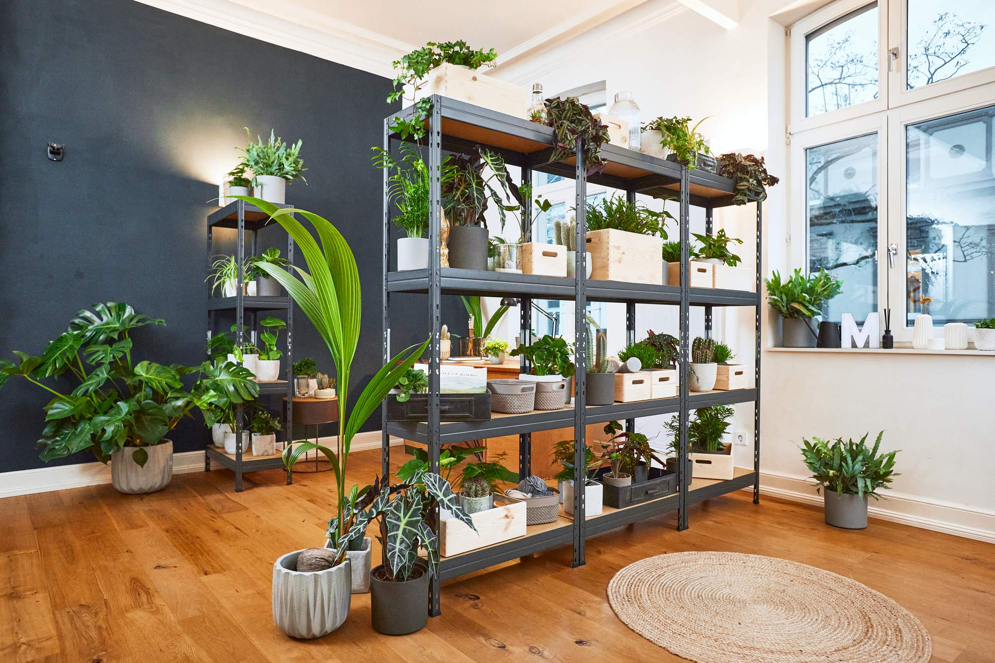 Szépítse otthonát | OBI