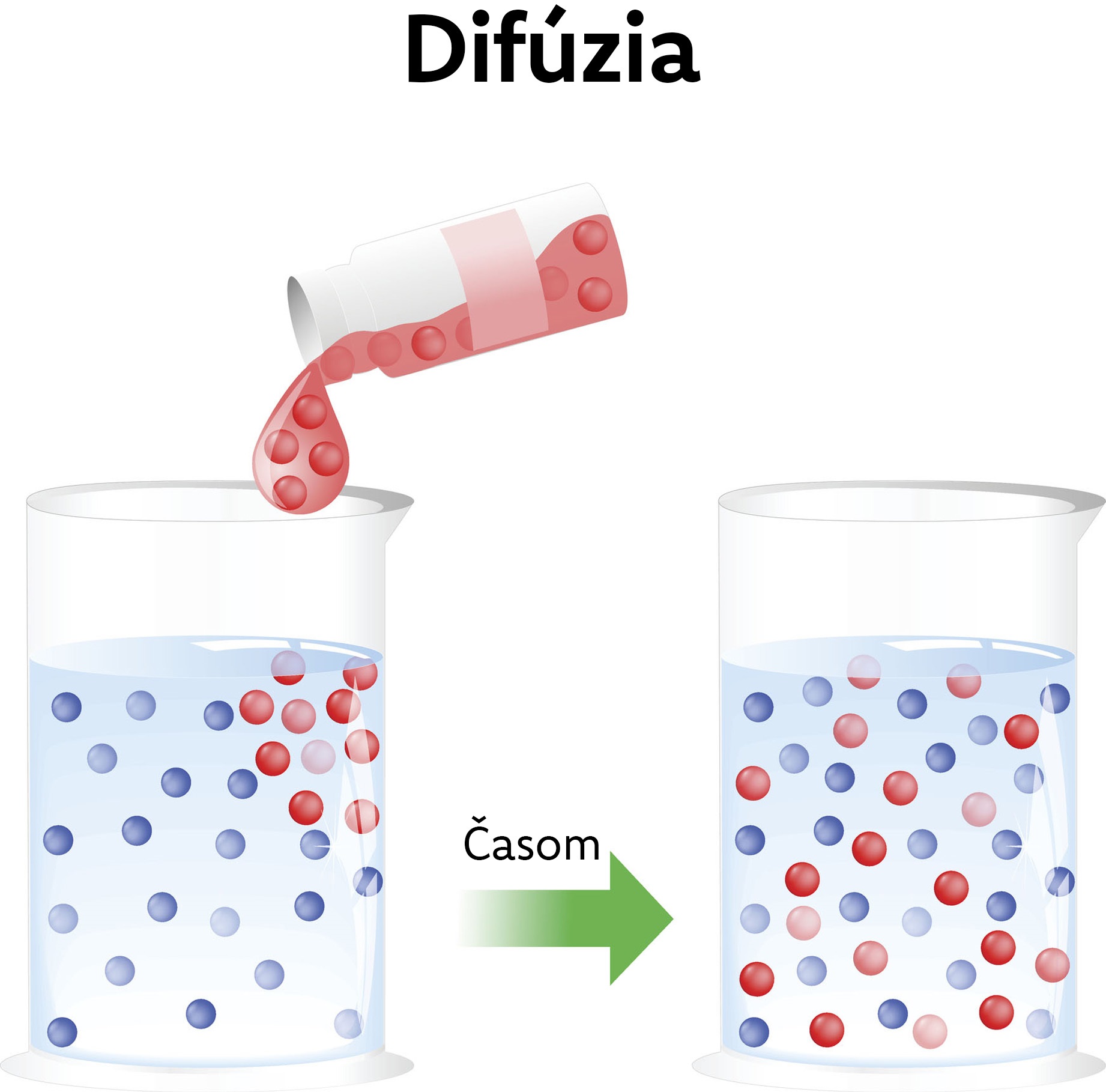 Polievanie rastlín: Tipy pre záhradu | OBI